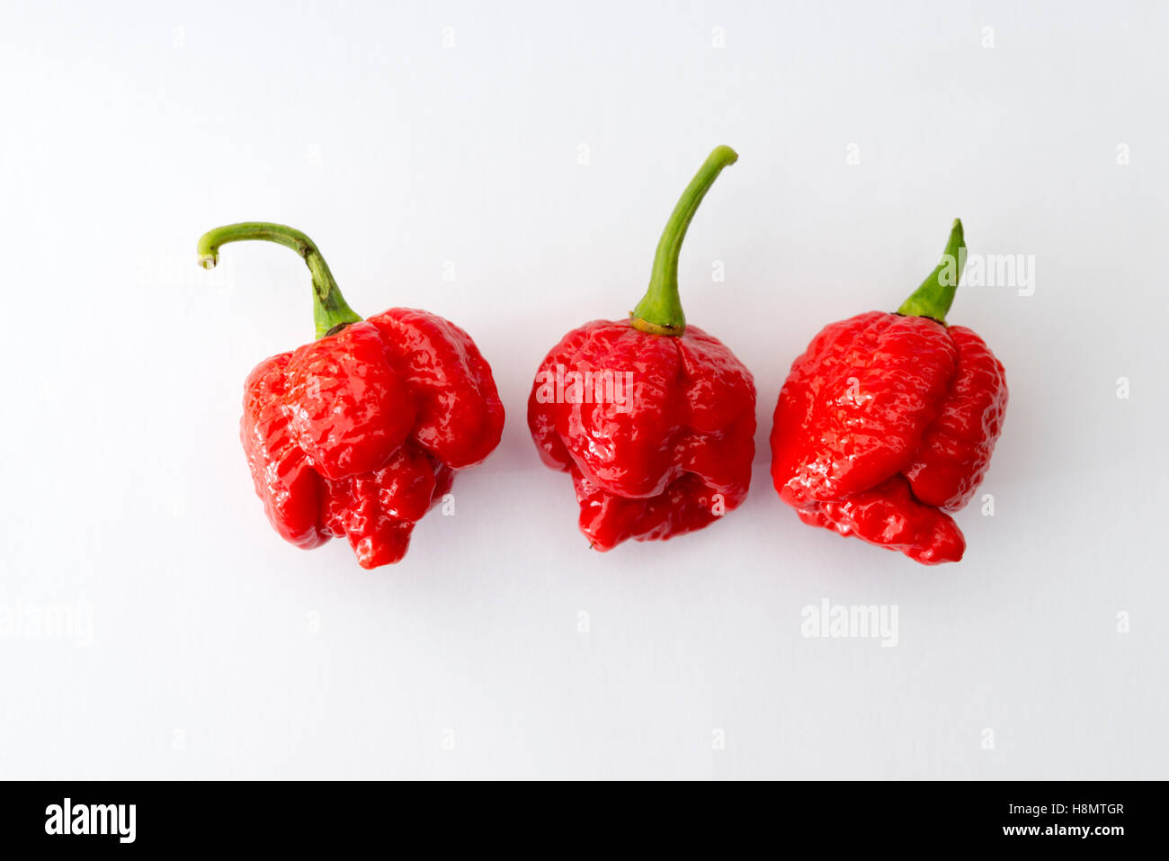 Three Trindad Moruga Scorpion Chilli peppers, one of the hottest ...