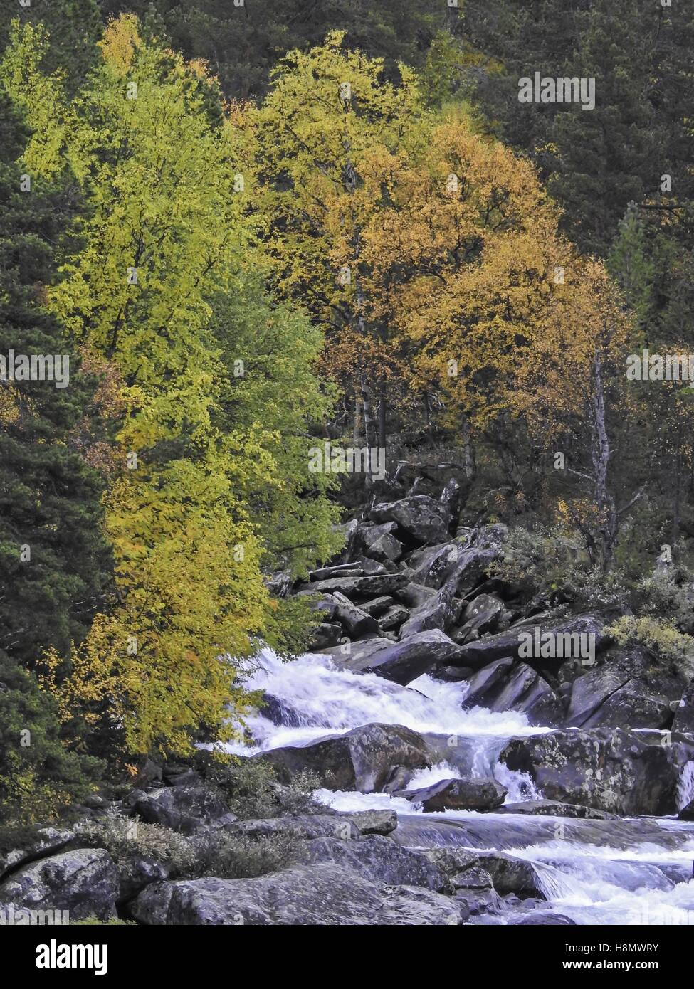 Saltdalen High Resolution Stock Photography and Images - Alamy