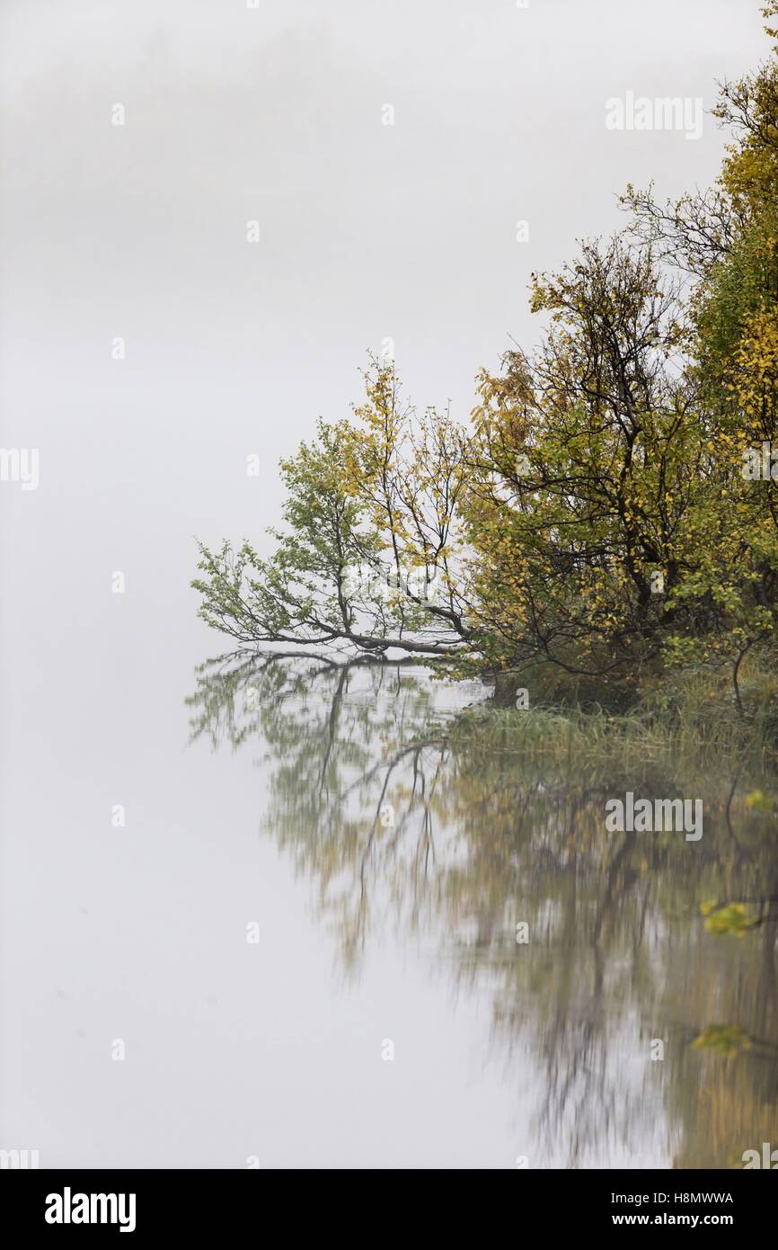 autumn reflection at lake, september 2016 | usage worldwide Stock Photo ...