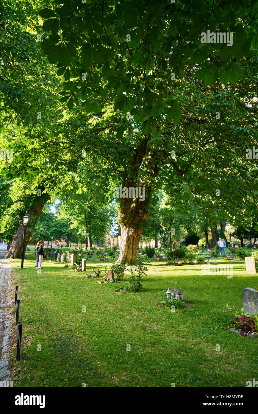 Green grass and trees in cemetery Stock Photo - Alamy
