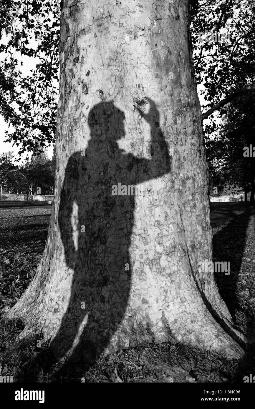 Human heart pattern Black and White Stock Photos & Images - Alamy