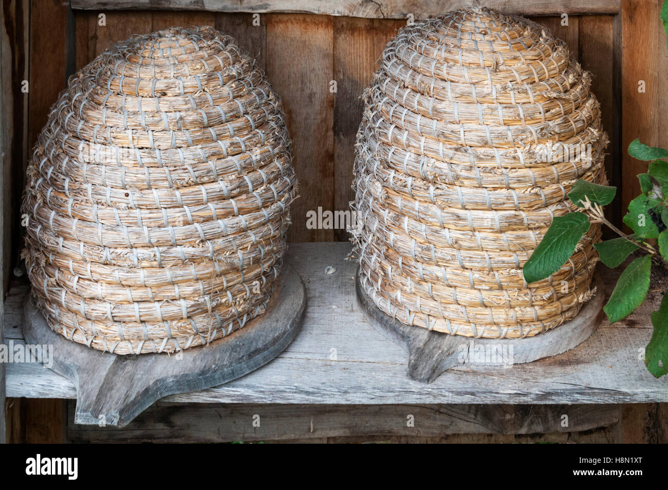 Skep hi-res stock photography and images - Alamy