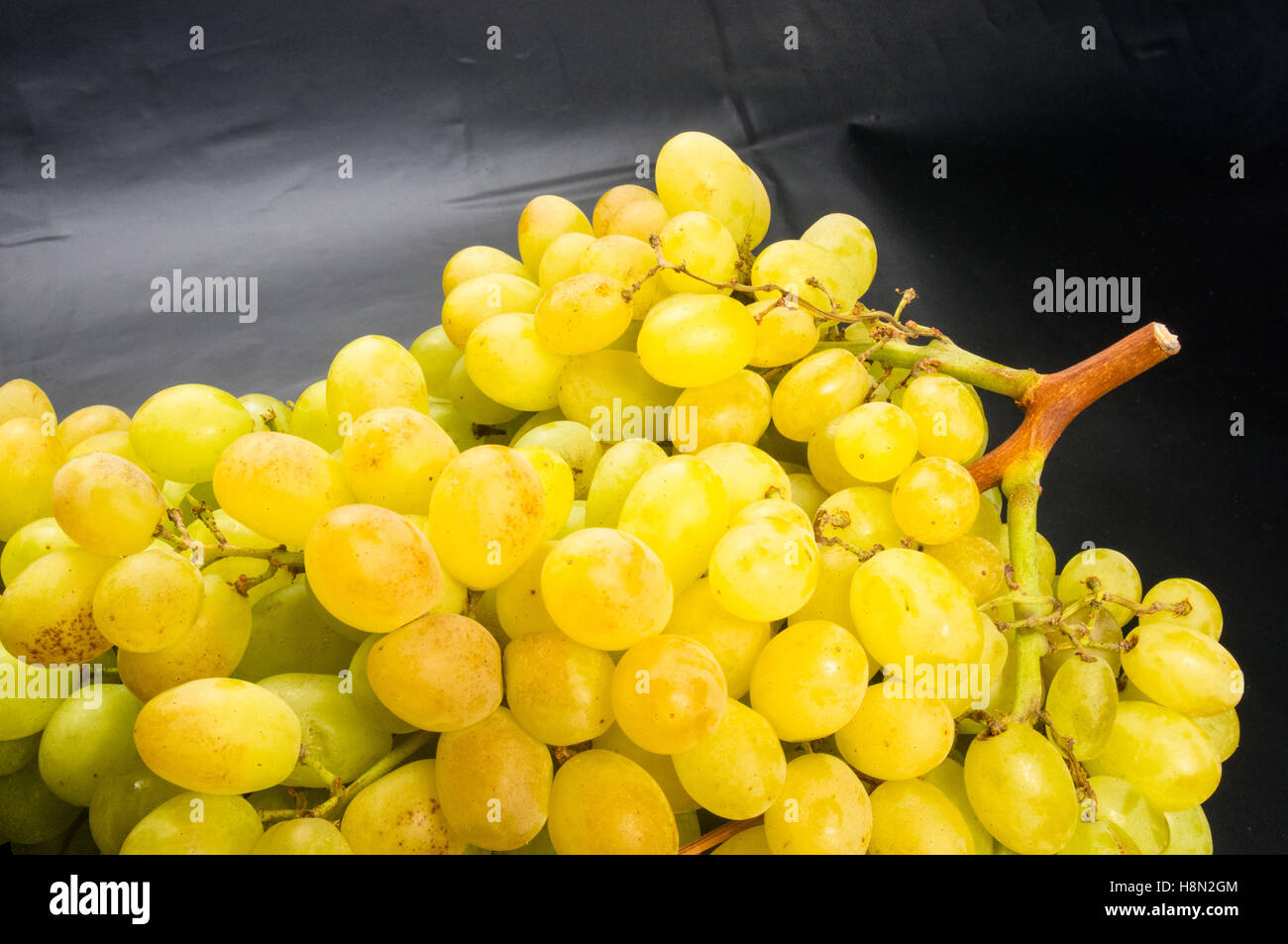 Large grapes cluster amber color on black background Stock Photo - Alamy
