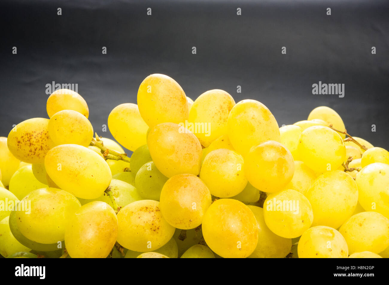 Large grapes cluster amber color on black background Stock Photo - Alamy