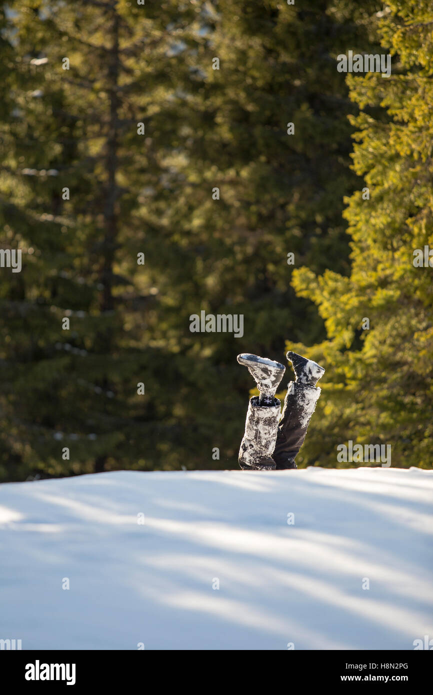 Legs sticking out of snow hi-res stock photography and images - Alamy