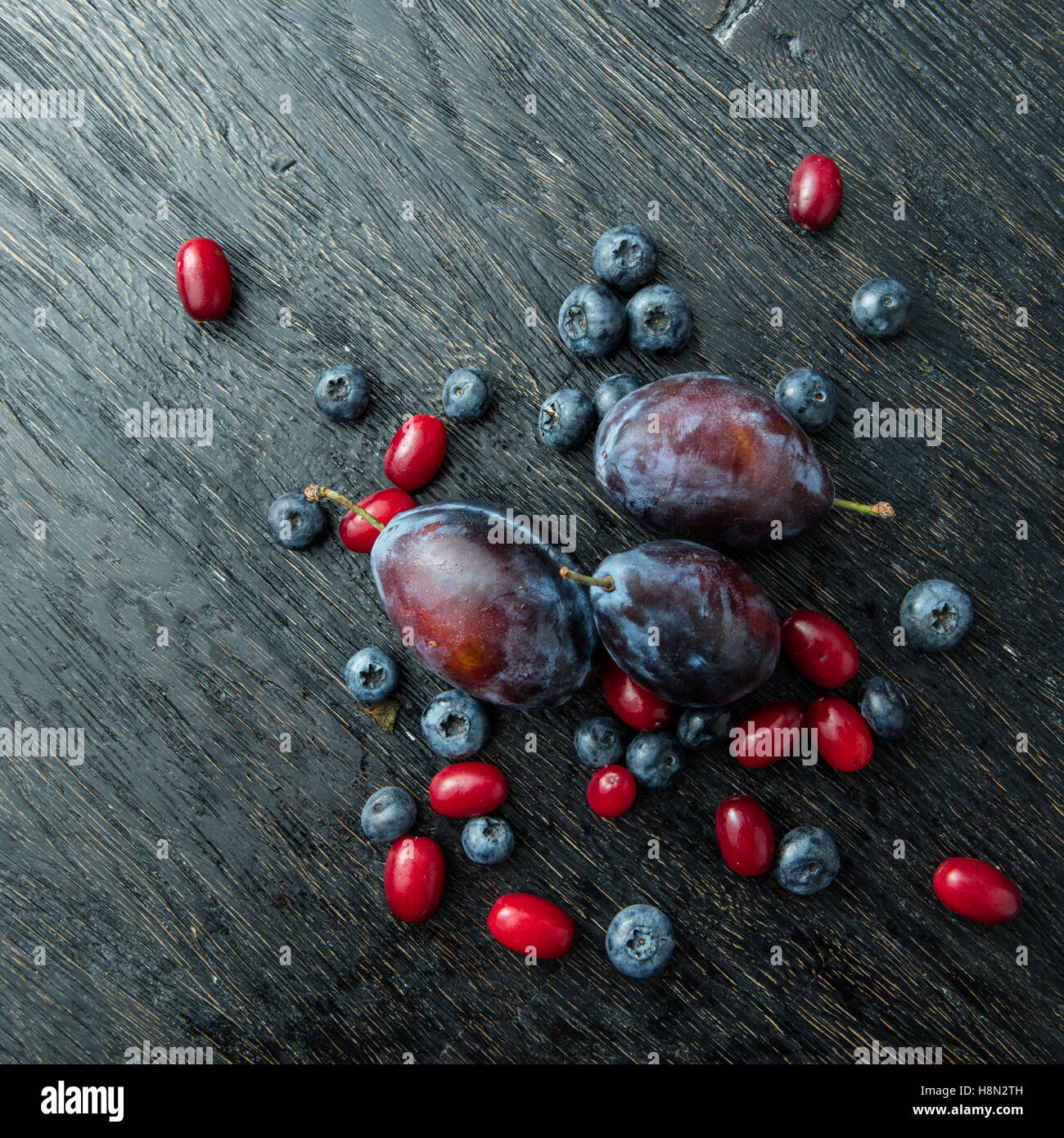 Blueberry, plum and dogwood Stock Photo - Alamy