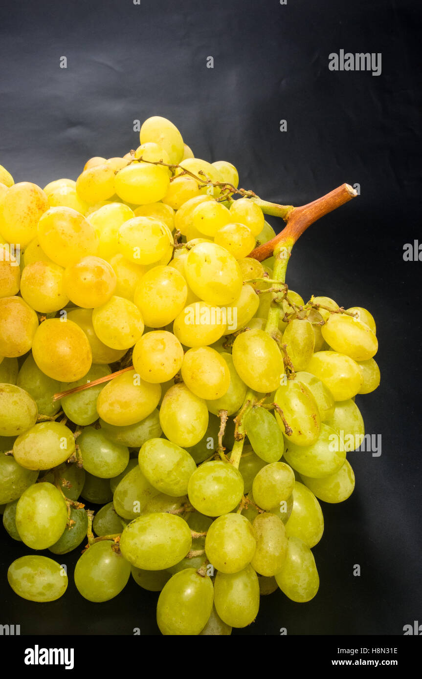 Large grapes cluster amber color on black background Stock Photo - Alamy