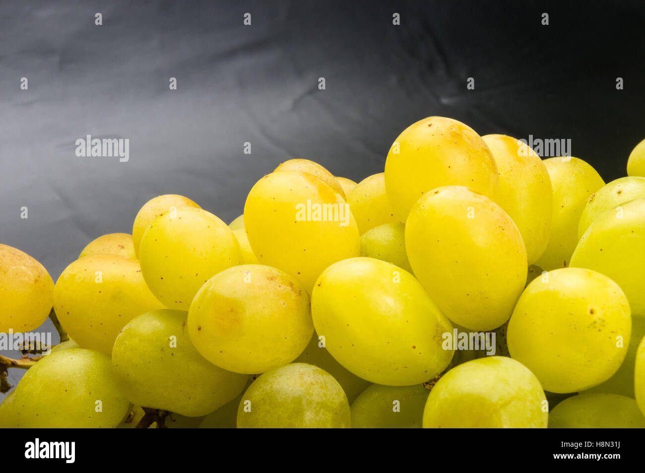 Large grapes cluster amber color on black background Stock Photo - Alamy