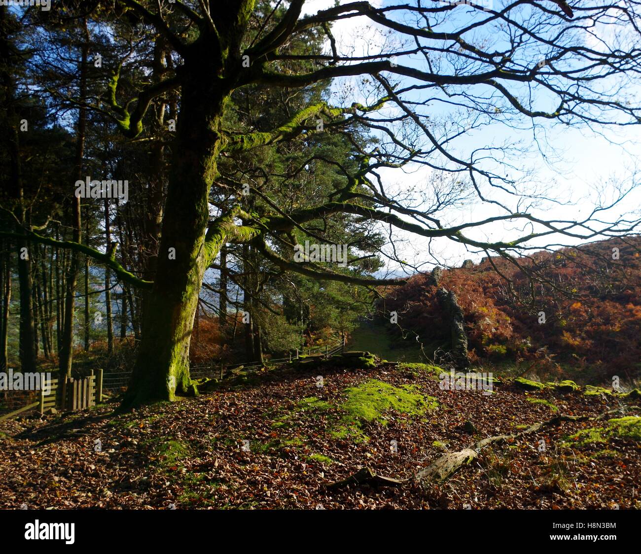 Win hill derbyshire hi-res stock photography and images - Alamy