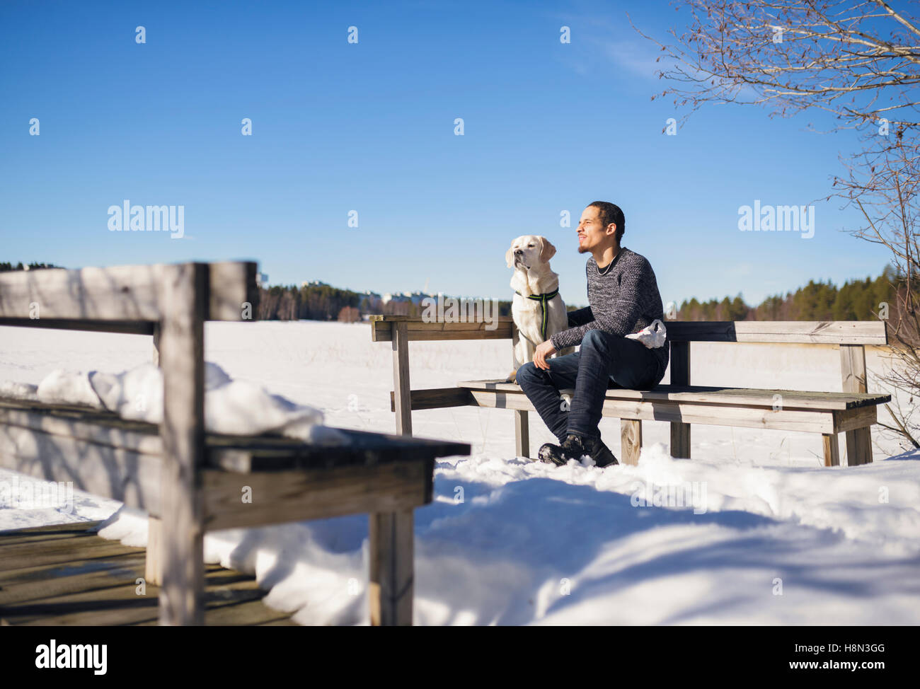 Pet dog on bench hi-res stock photography and images - Alamy