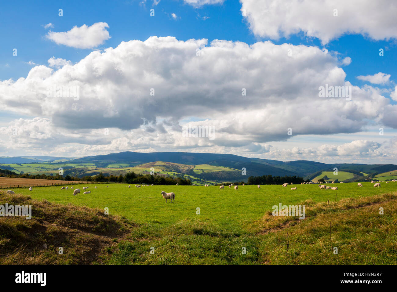 Radnor forest uk hi-res stock photography and images - Alamy