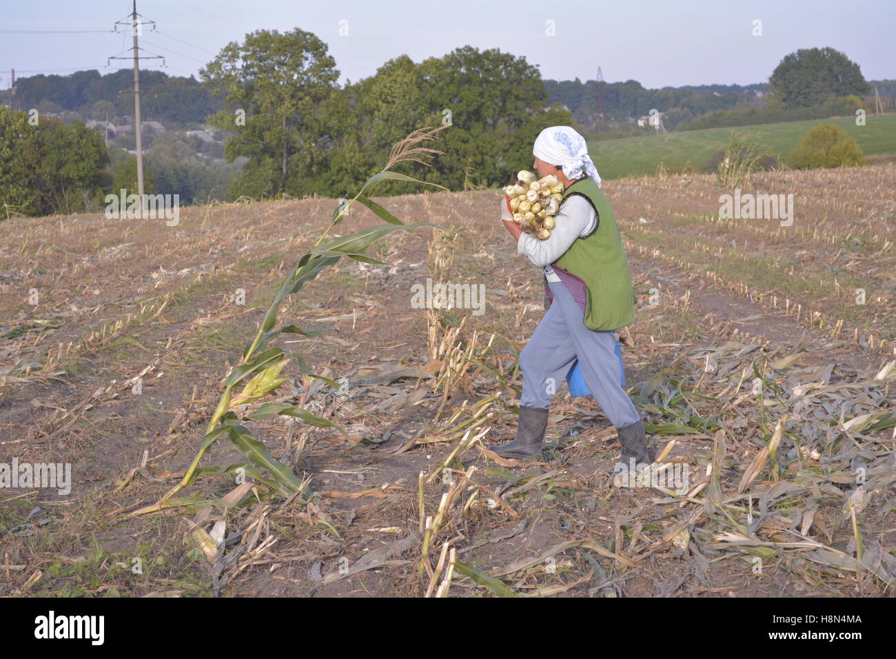 Village corn hi-res stock photography and images - Alamy