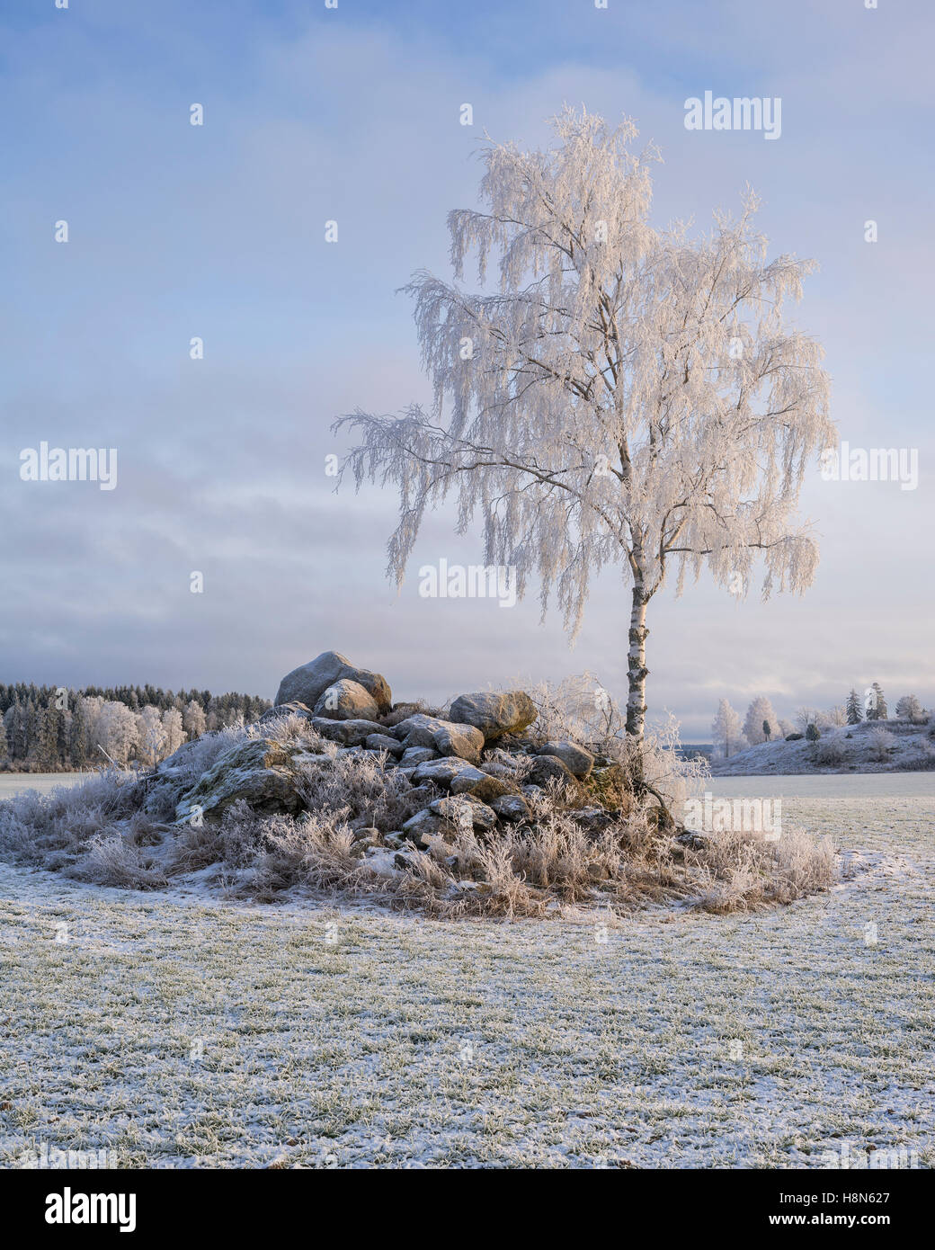 Uppland hi-res stock photography and images - Alamy