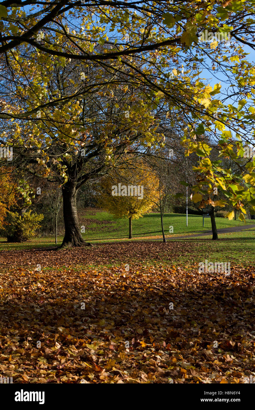 Of Knowle West High Resolution Stock Photography and Images - Alamy