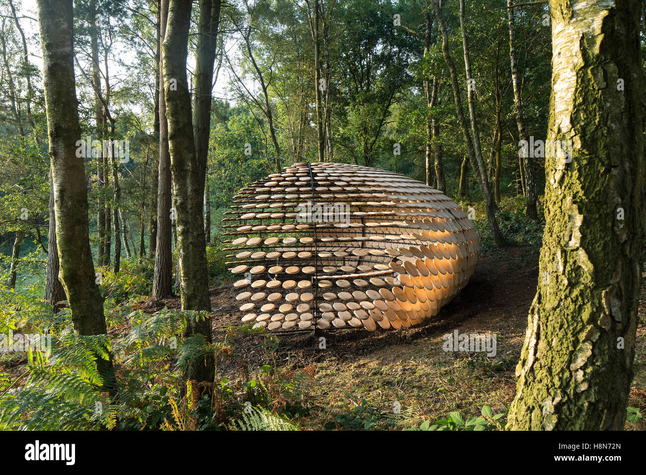 View of side of pavilion. Perspectives. Pavilion, Surrey Hills, United ...