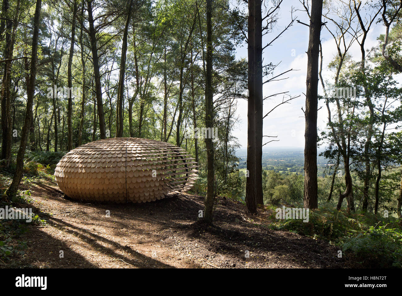 Wide view of pavilion in the landscape. Perspectives. Pavilion, Surrey ...