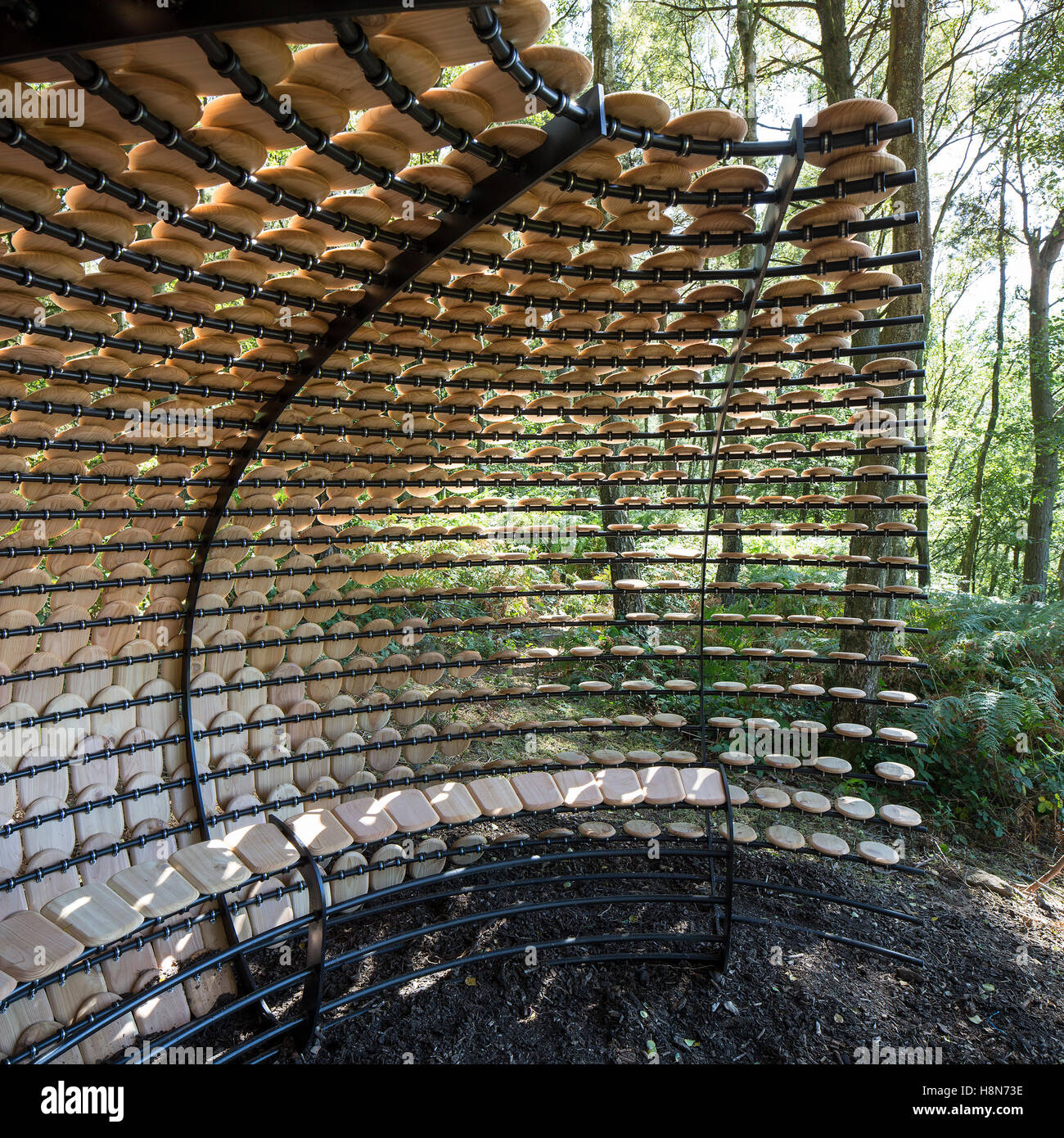 View of interior of pavilion. Perspectives. Pavilion, Surrey Hills ...