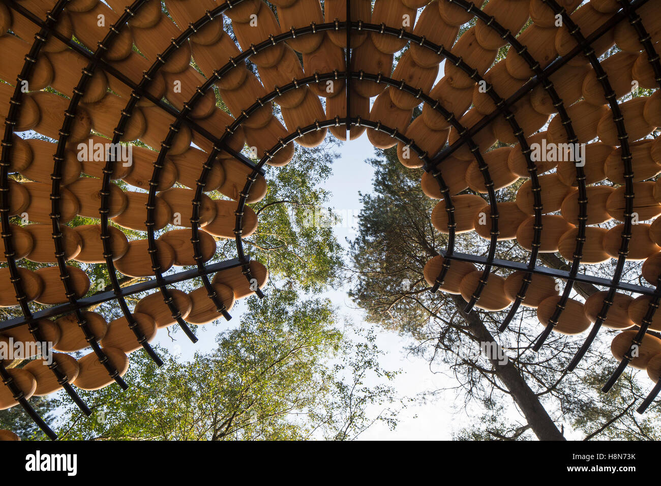 View of top of pavilion looking up. Perspectives. Pavilion, Surrey ...