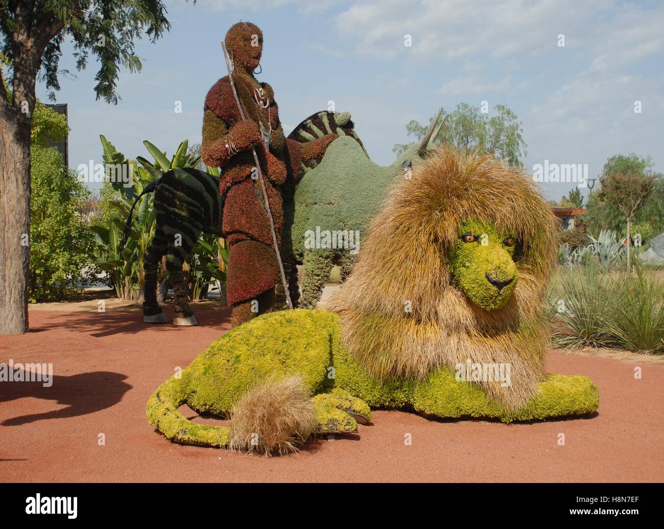 Lion scale hi-res stock photography and images - Alamy