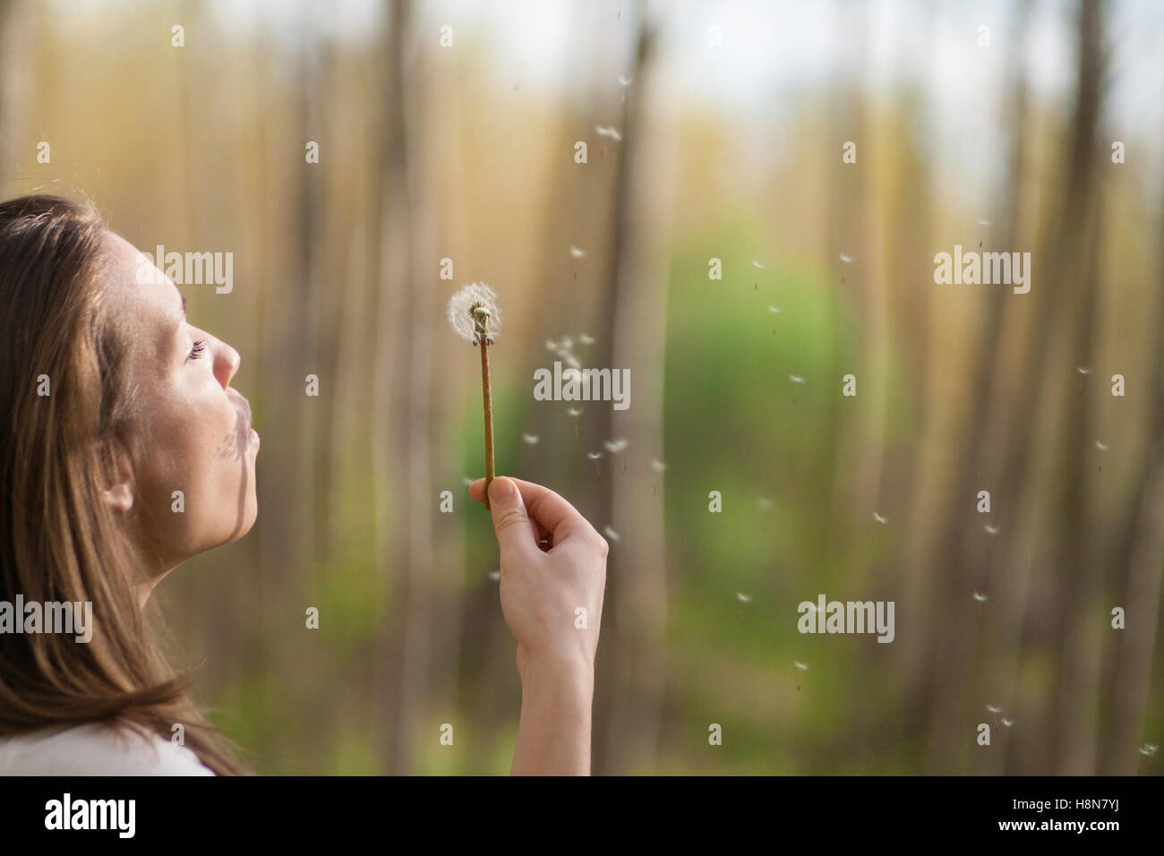 Blowing dandelion hi-res stock photography and images - Alamy