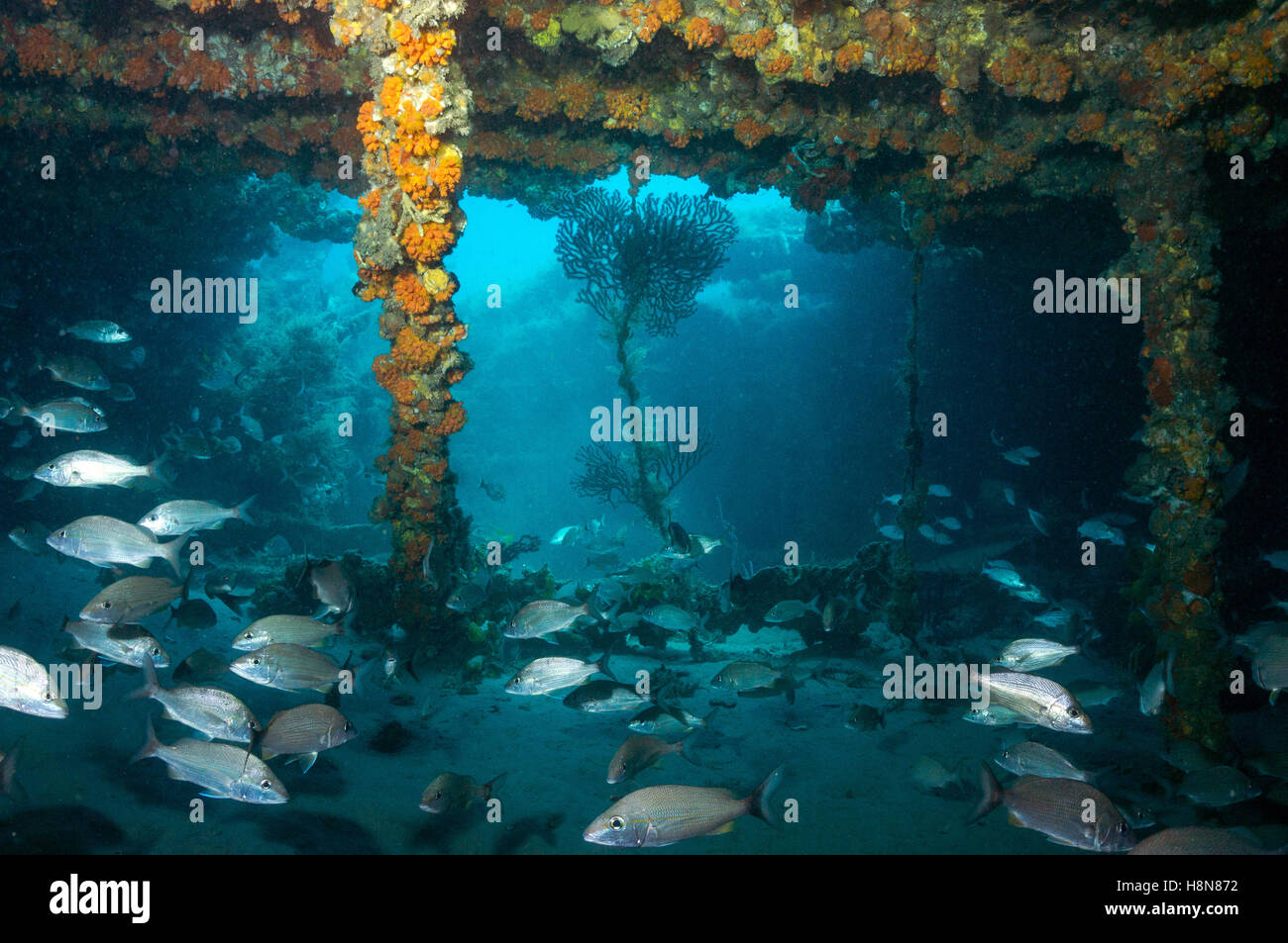 Wreck scene hi-res stock photography and images - Alamy