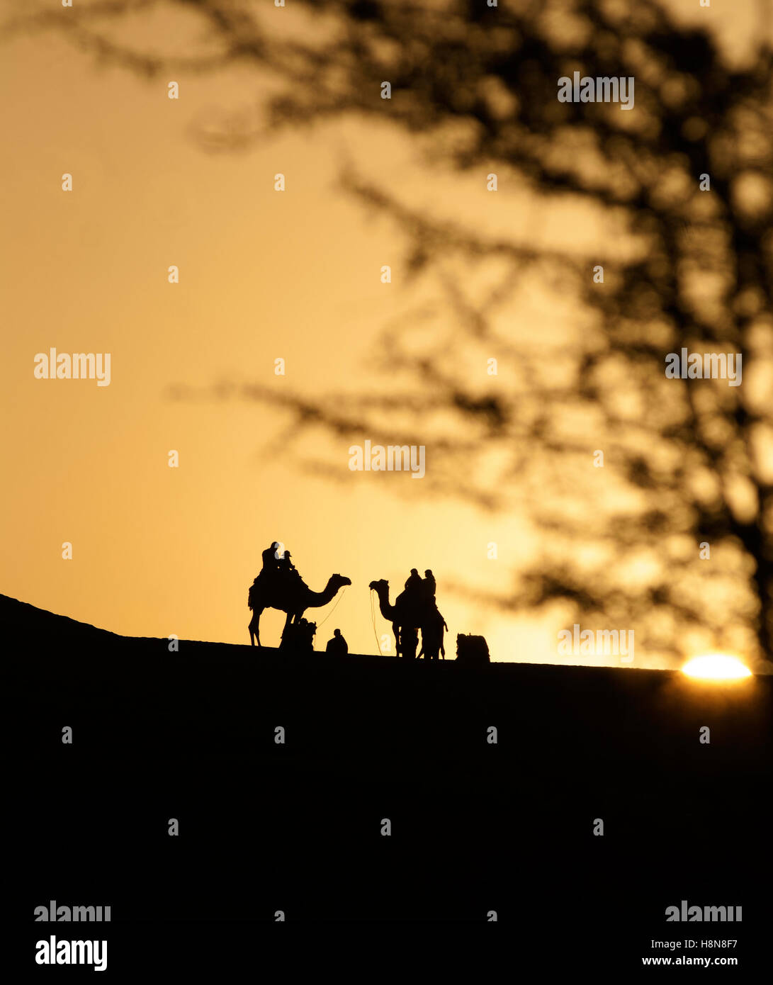 Beautiful rajasthan hi-res stock photography and images - Alamy