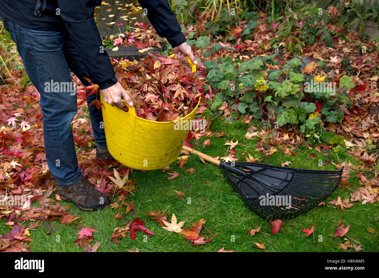 Plastic rake hi-res stock photography and images - Alamy