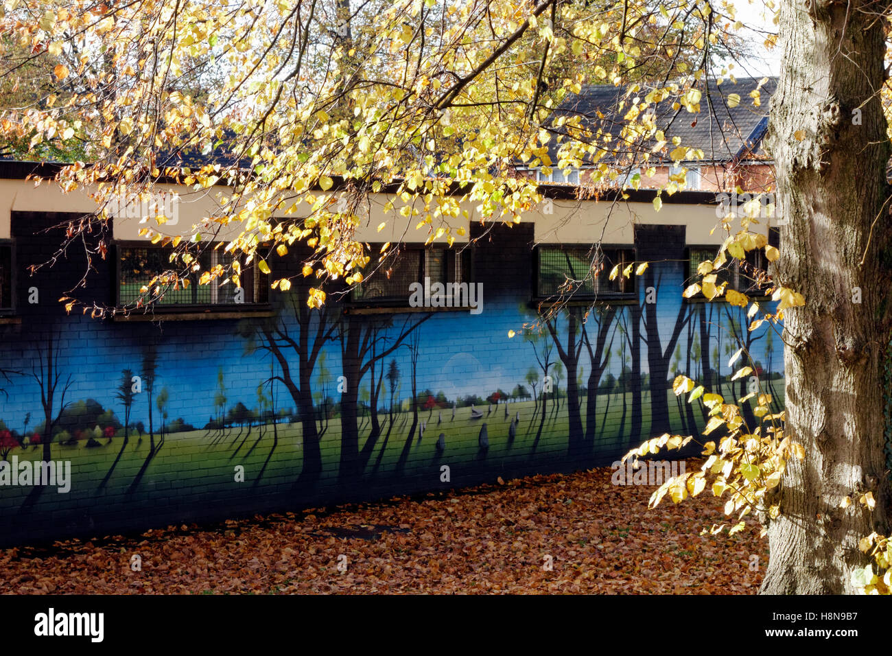 Mural on side of changing rooms building, Pontcanna Fields, Cardiff ...