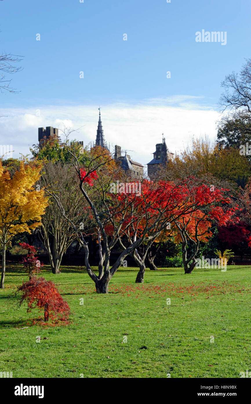 Asers hi-res stock photography and images - Alamy