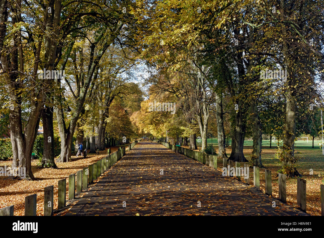 Pontcanna fields hi-res stock photography and images - Alamy