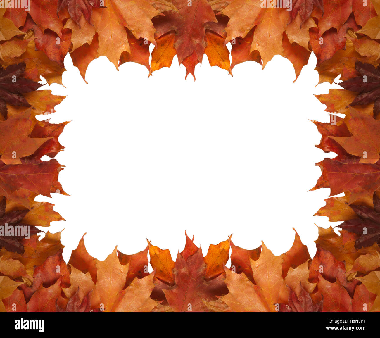 Autumn leaves forming a frame Stock Photo - Alamy
