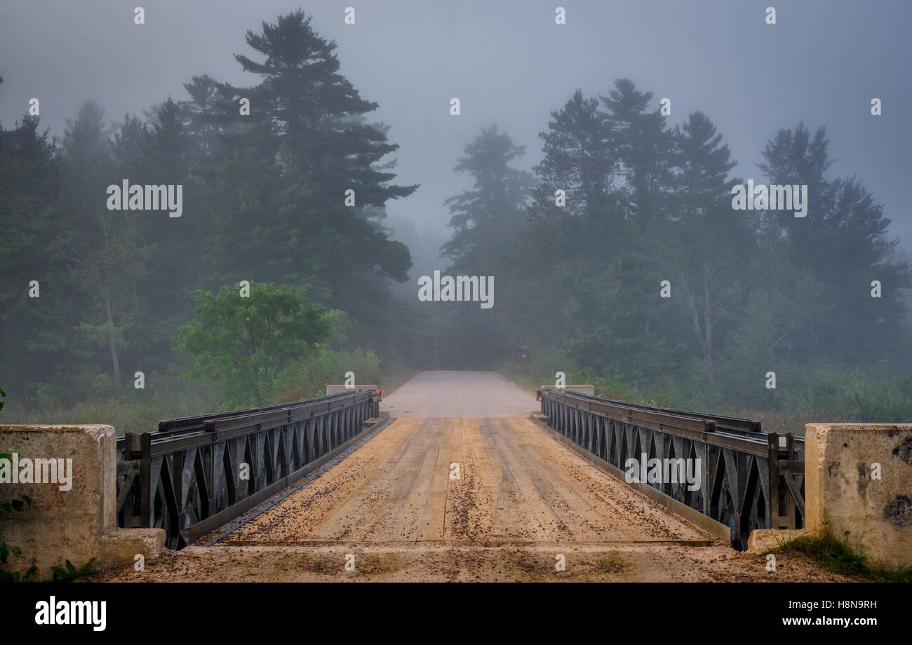 Darkemed forest road over bridge over Corry Lake Stock Photo - Alamy
