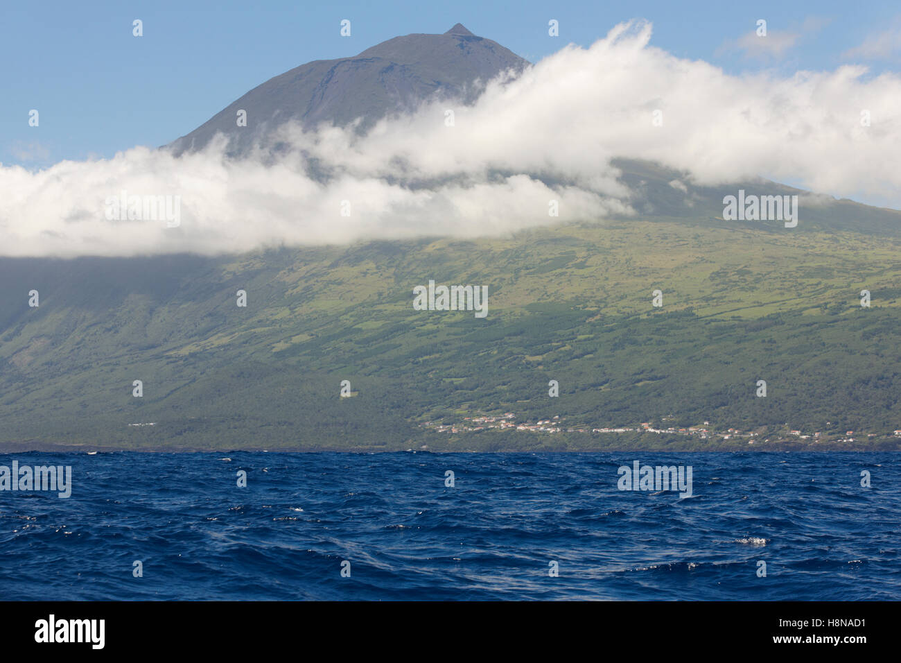 Azores coastline landscape with atlantic ocean in Pico island. Portugal ...