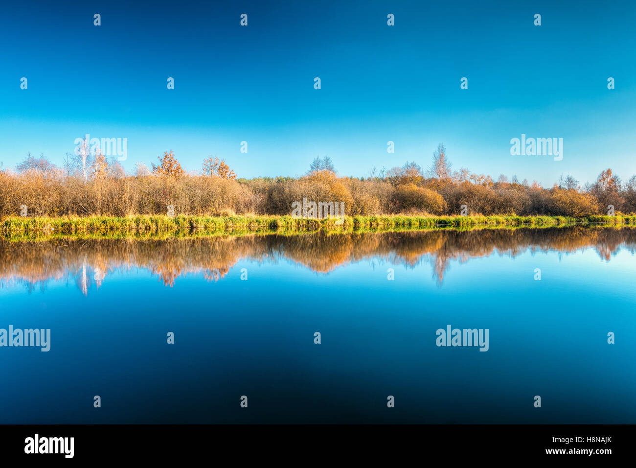 The Picturesque Autumn Fall River Landscape, Blue Sky, Yellowed ...