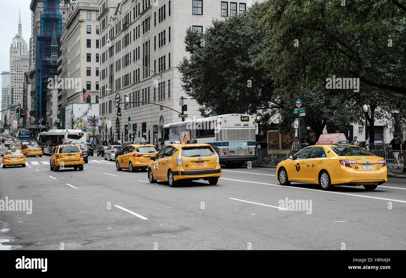 Famous yellow cabs seen in midtown Manhattan, New York City. Seen ...