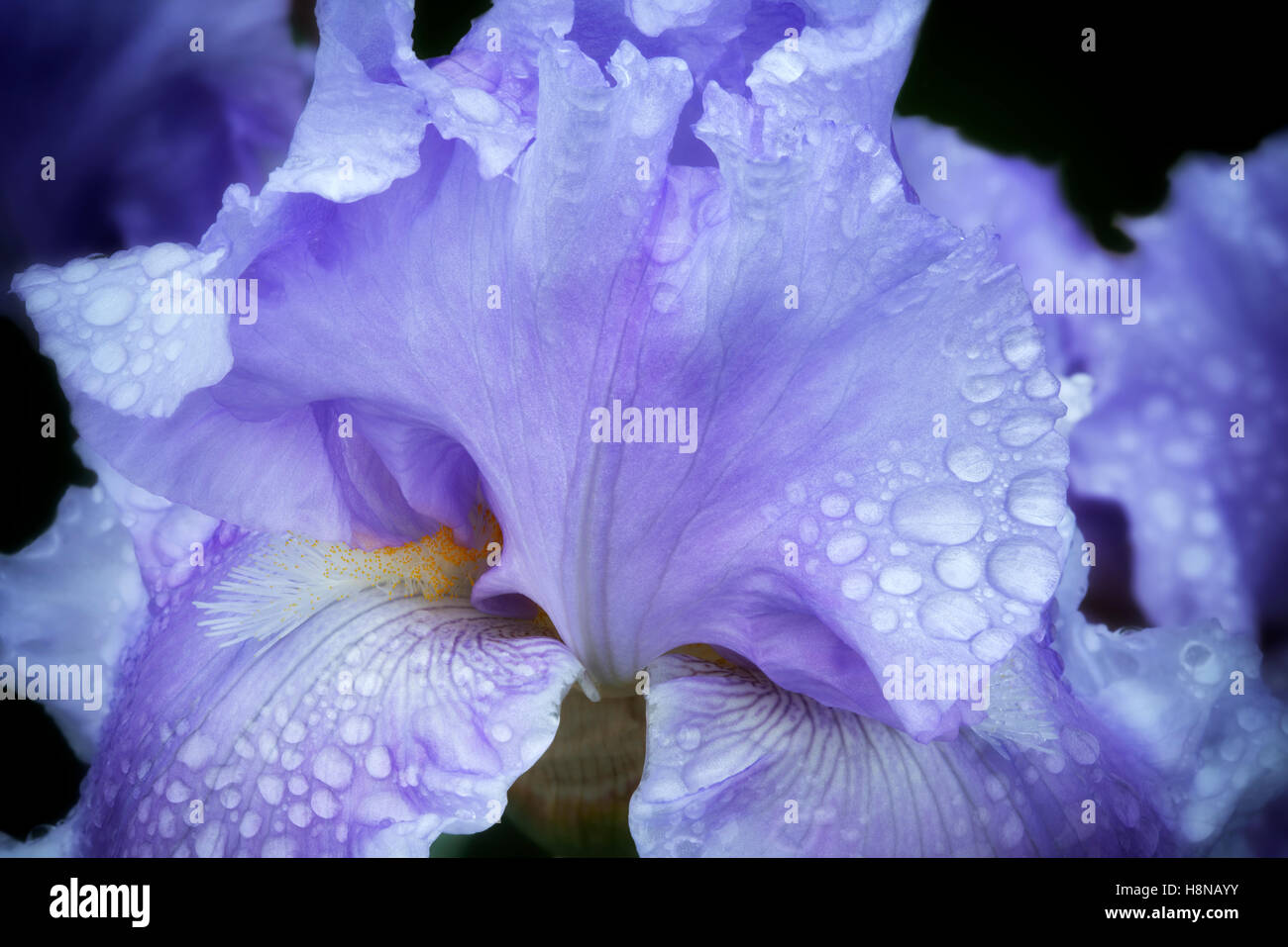 Rain storm hi-res stock photography and images - Alamy
