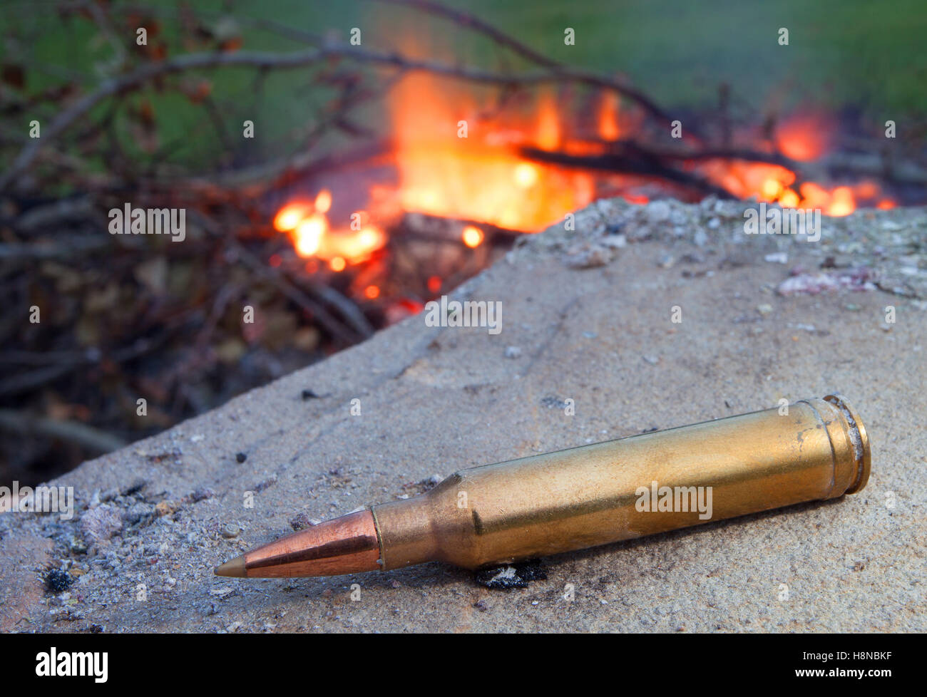 Rifle cartridge heating on a rock near a fire Stock Photo - Alamy