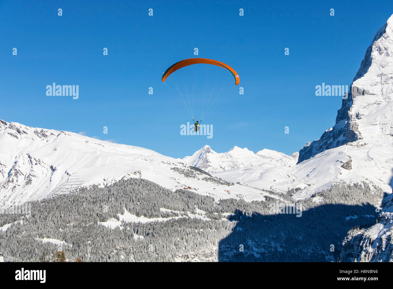 Paraglider soaring through the Alps of Switzerland with snow covered ...
