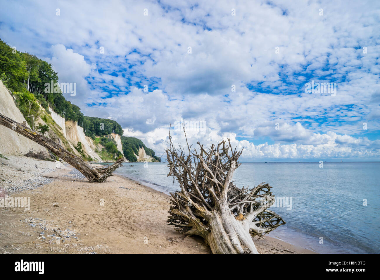 chalk cliff coast at Jasmund National Park, near Königsstuhl (King's ...