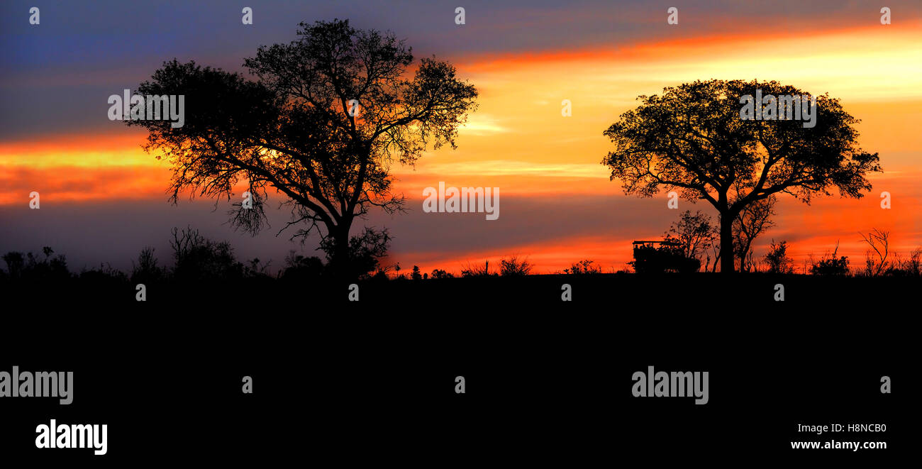 Kruger park safari vehicle hi-res stock photography and images - Alamy