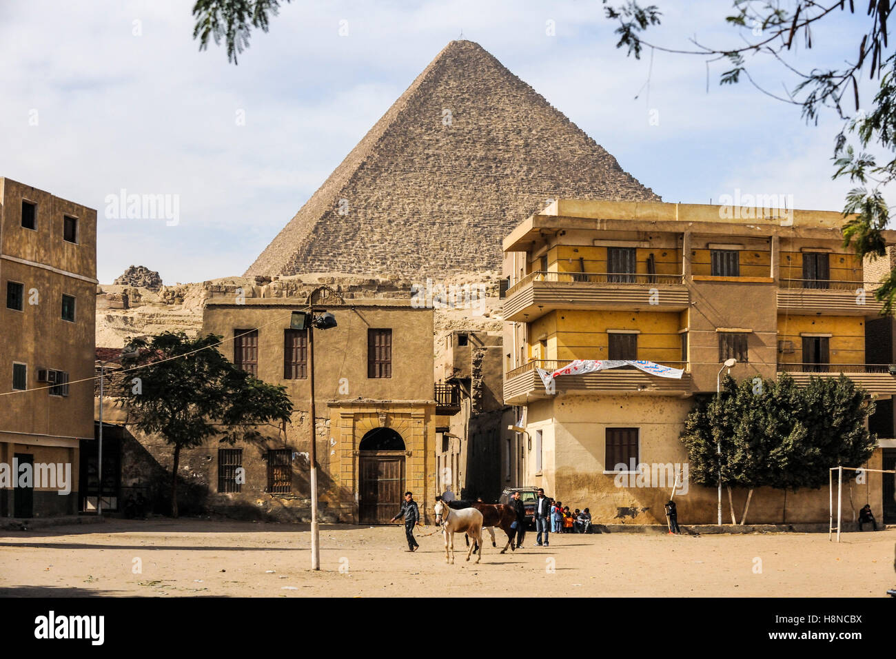 Training young horses in a sandy square near the Khufu Pyramida, Giza ...