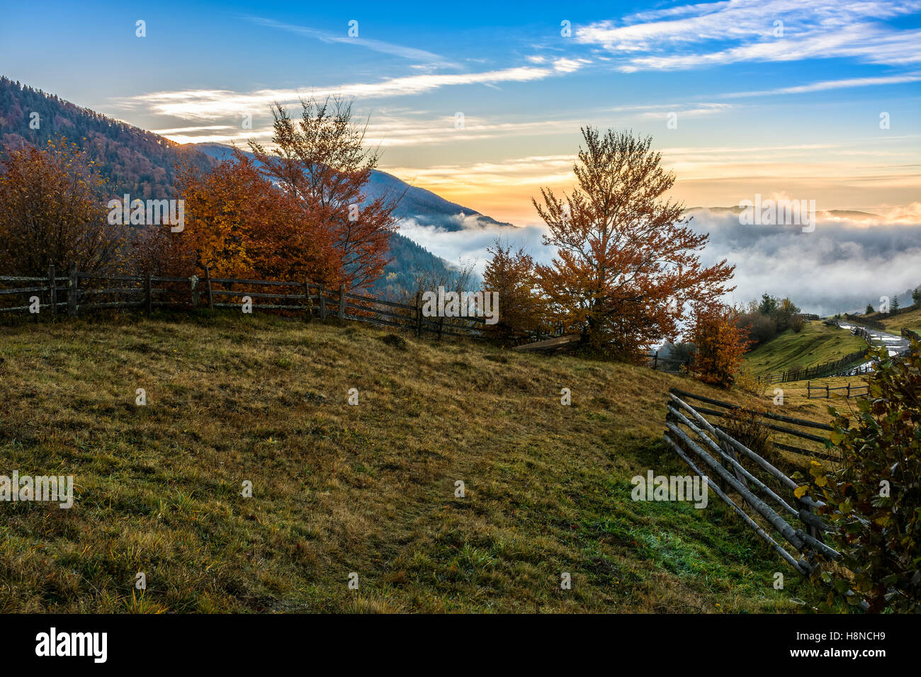 cold morning fog with golden hot sunrise in the mountainous rural area ...