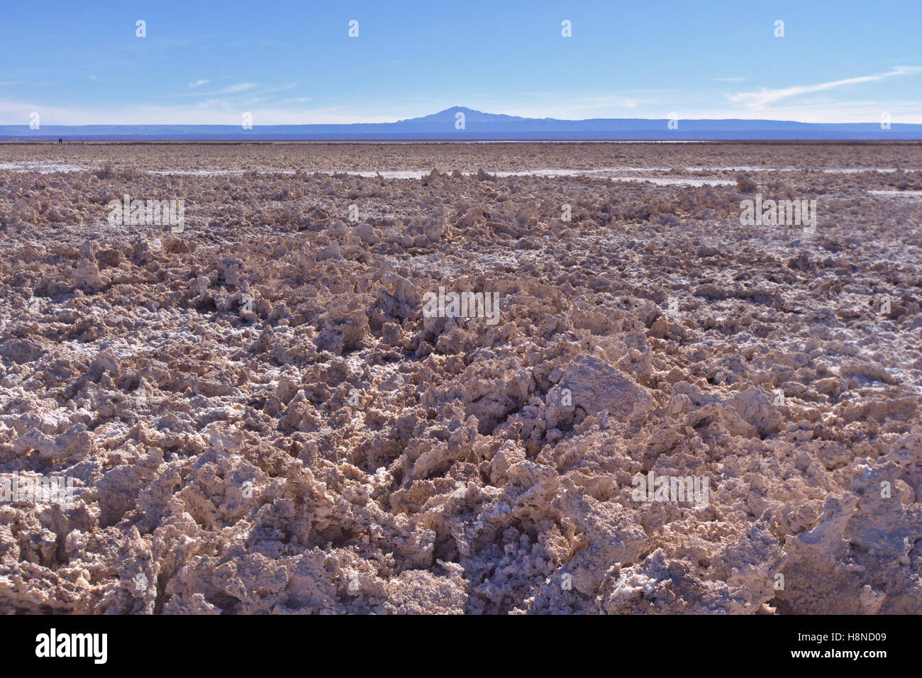 Salt formations, Salar de Atacama Stock Photo - Alamy