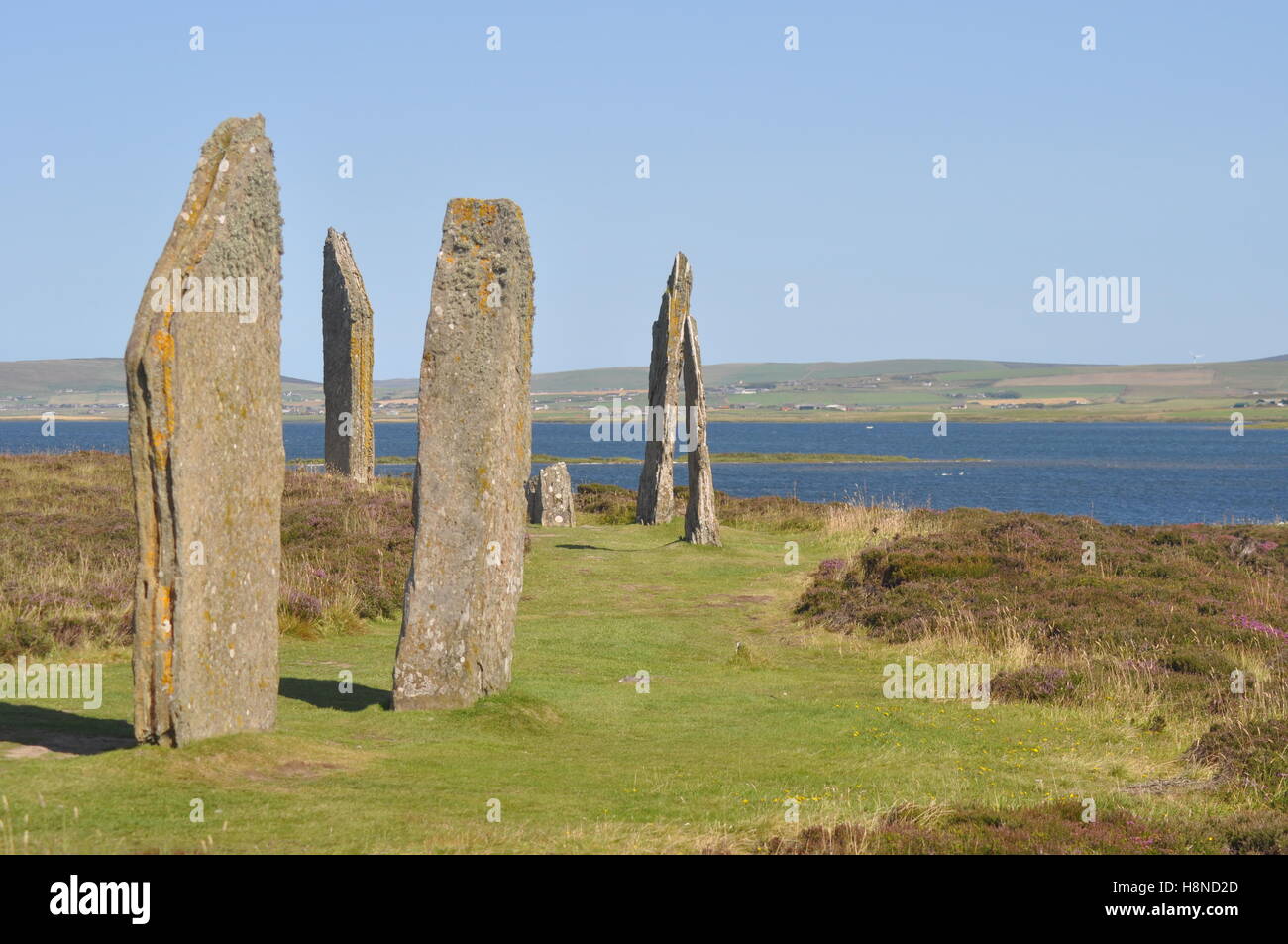 Ring of Brodgar stone circle, Orkney Stock Photo - Alamy