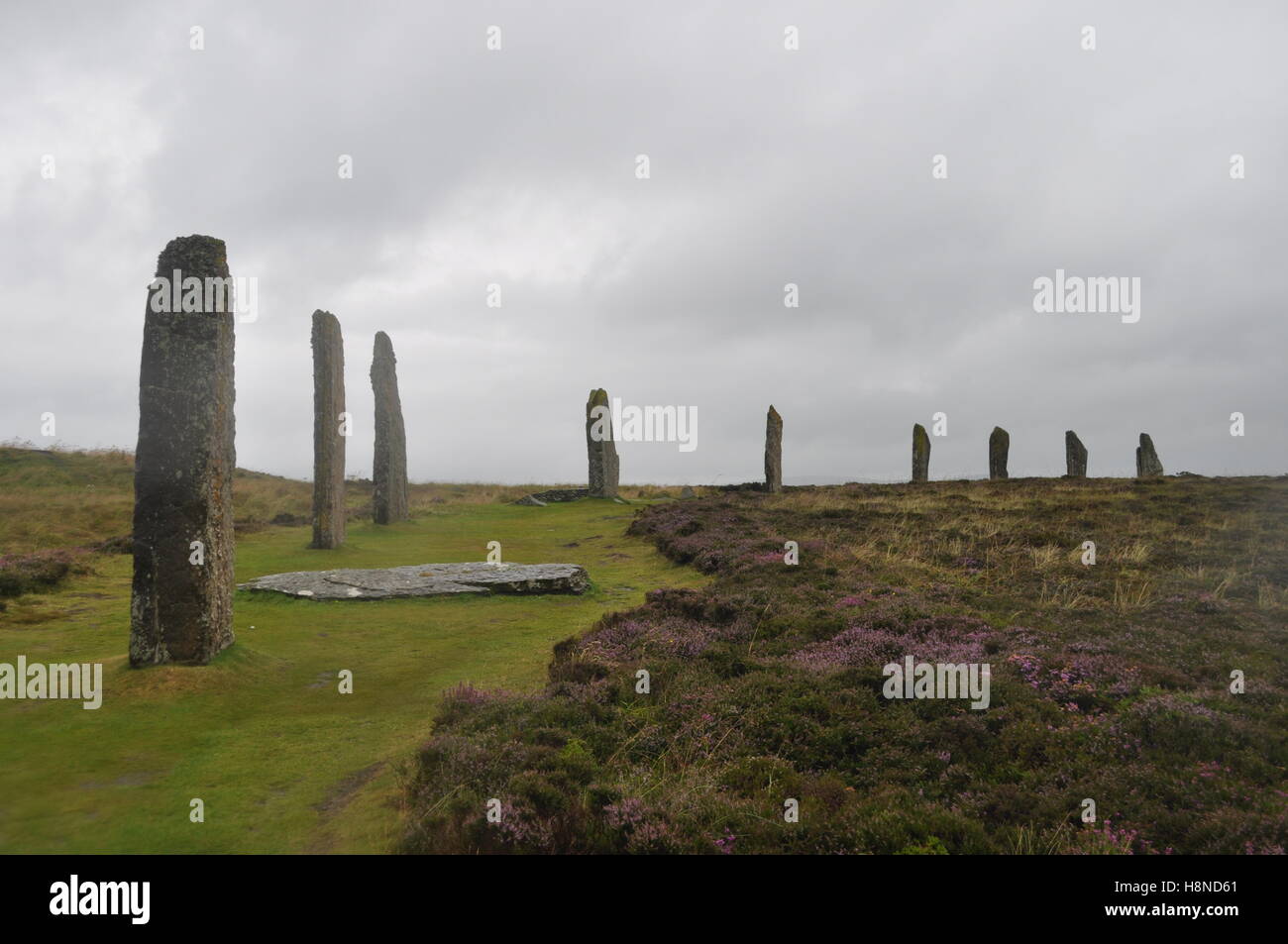 Stone circle orkney hi-res stock photography and images - Alamy
