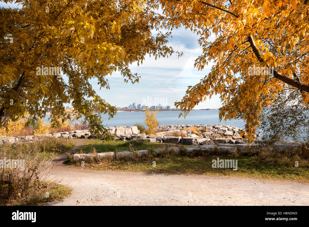 scenic park by the lake overlooking downtown toronto Stock Photo - Alamy