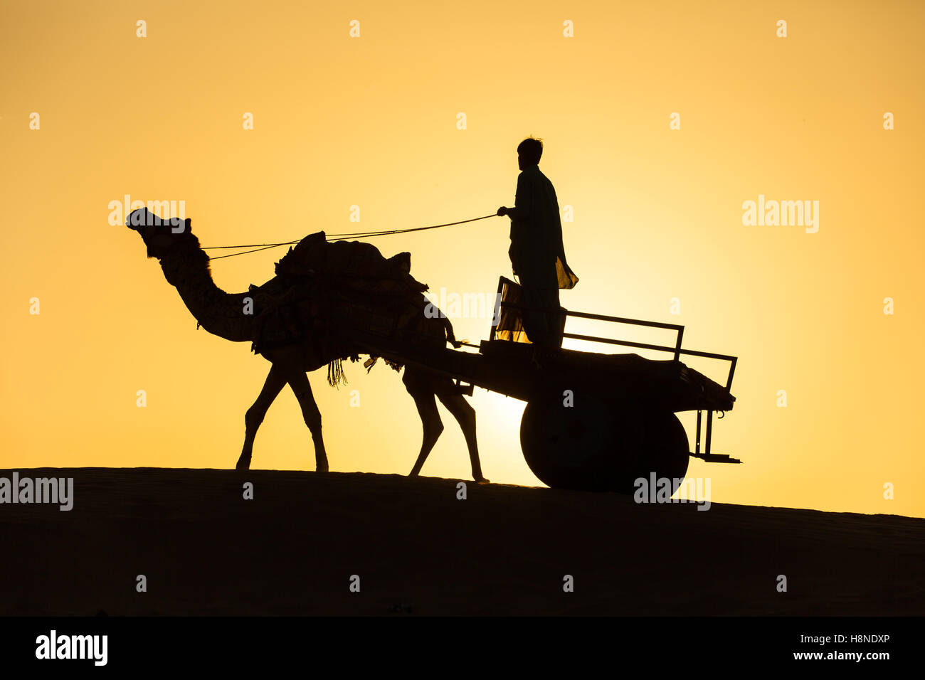 Rajasthan travel background - camel silhouette with the wagon in dunes ...