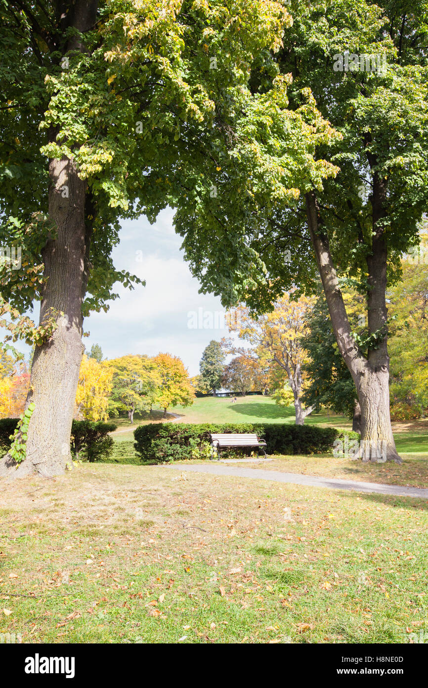 Bench under big trees hi-res stock photography and images - Alamy