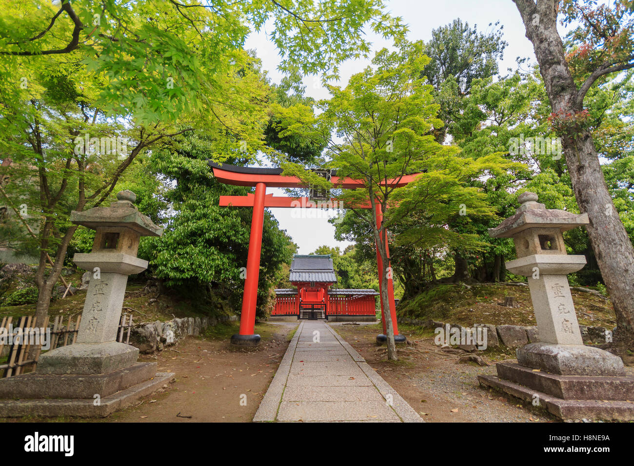 The beautiful temple - Tenryu ji, Kyoto, Japan Stock Photo - Alamy