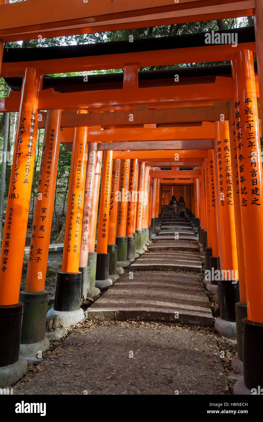 The famous Fushimi Inari-taisha in Fushimi-ku, Kyoto, Japan Stock Photo ...